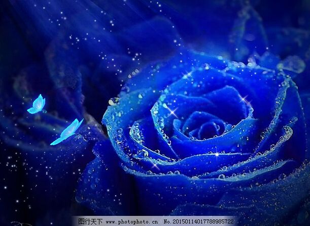 心情之花QQ空间flash图片_其他_实拍视频-图行天下素材网